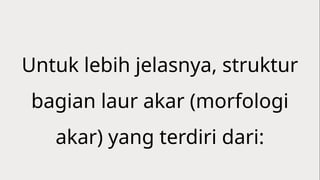 Morfologi Akar JENIS-JENIS AKAR TUMBUHAN.pptx