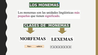 Morfologia monema | PPT