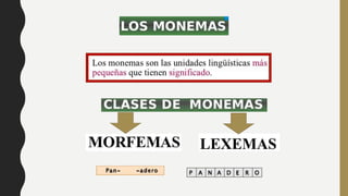 Morfologia monema | PPT