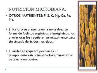 Morfologia, Taxonomia Y NutricióN De Los Microorganismos | PPT