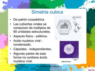 Morfologia y clasificacion viral | PPSX