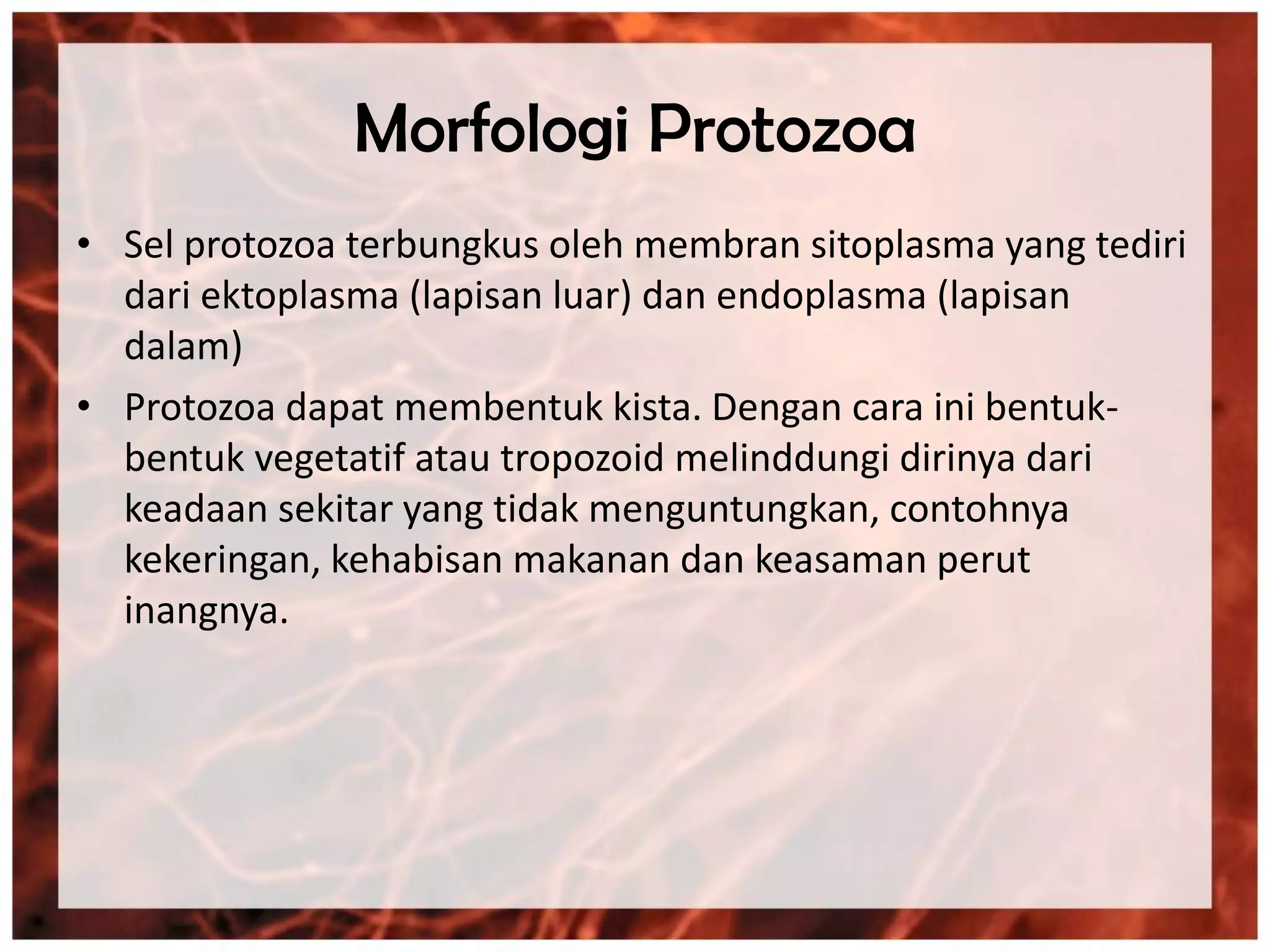 Morfologi bakteri, kapang dan khamir | PDF