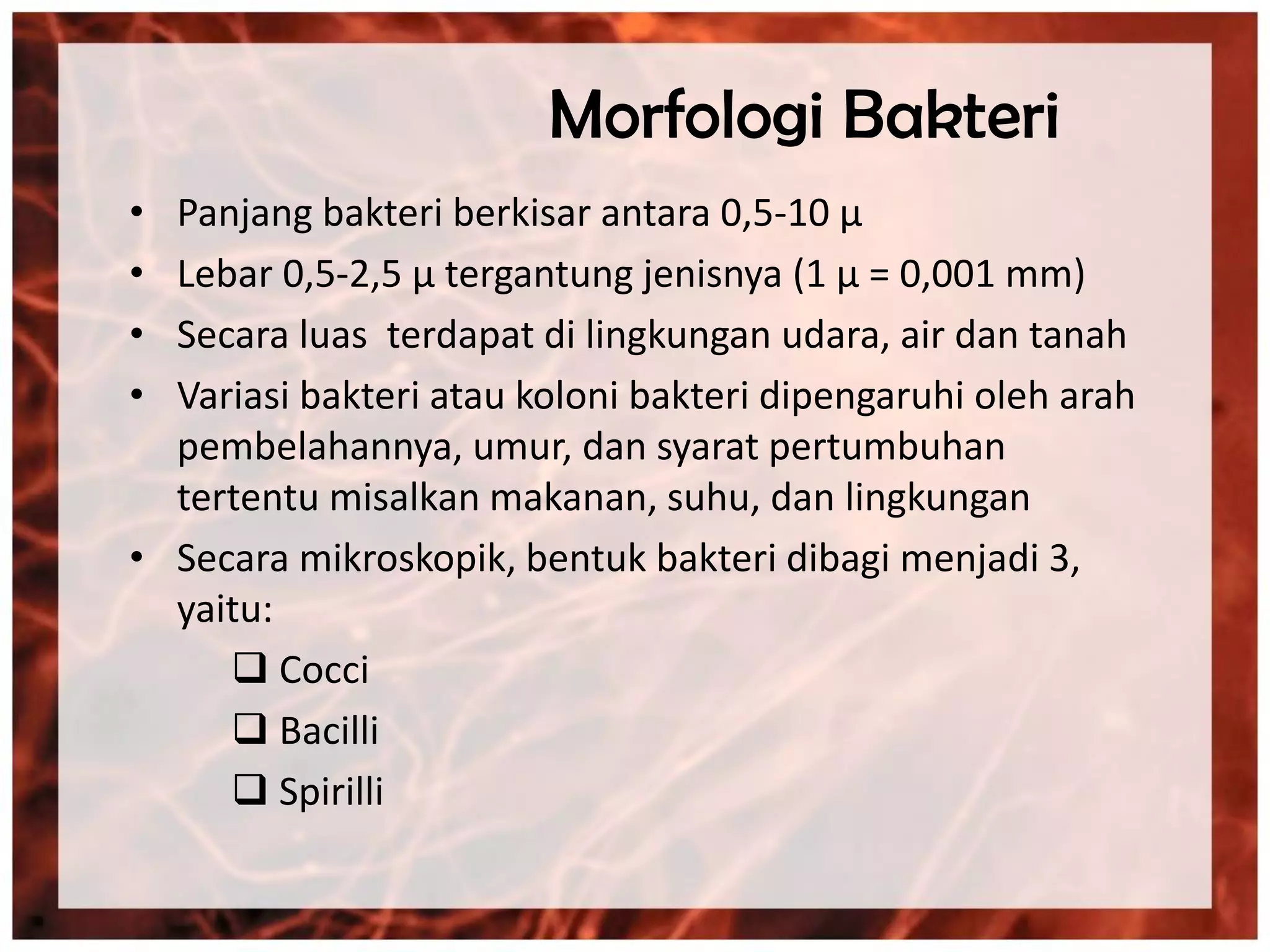 Morfologi bakteri, kapang dan khamir | PDF