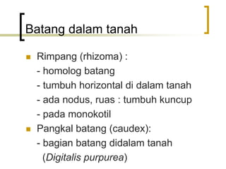 MORFOLOGI BATANG.ppt