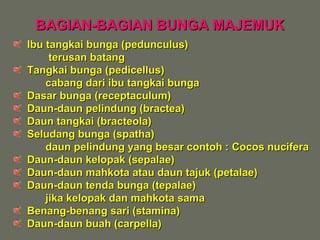 Biologi Tanaman : Morfologi batang,akar,bunga (Unsoed) Smt 1 | PPT