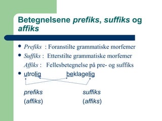 Morfologibegreper | PPT