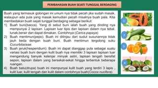 Morfologi BUAH DAN BIJI BY DELA NAVARIN.pptx