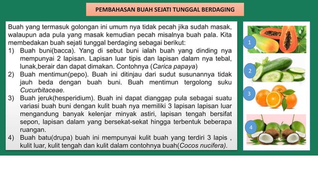 Morfologi BUAH DAN BIJI BY DELA NAVARIN.pptx