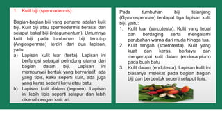 Morfologi BUAH DAN BIJI BY DELA NAVARIN.pptx