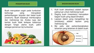 Morfologi BUAH DAN BIJI BY DELA NAVARIN.pptx