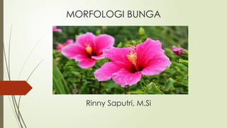 MORFOLOGI BUNGA.pptx MORFOLOGI BUNGA.pptx