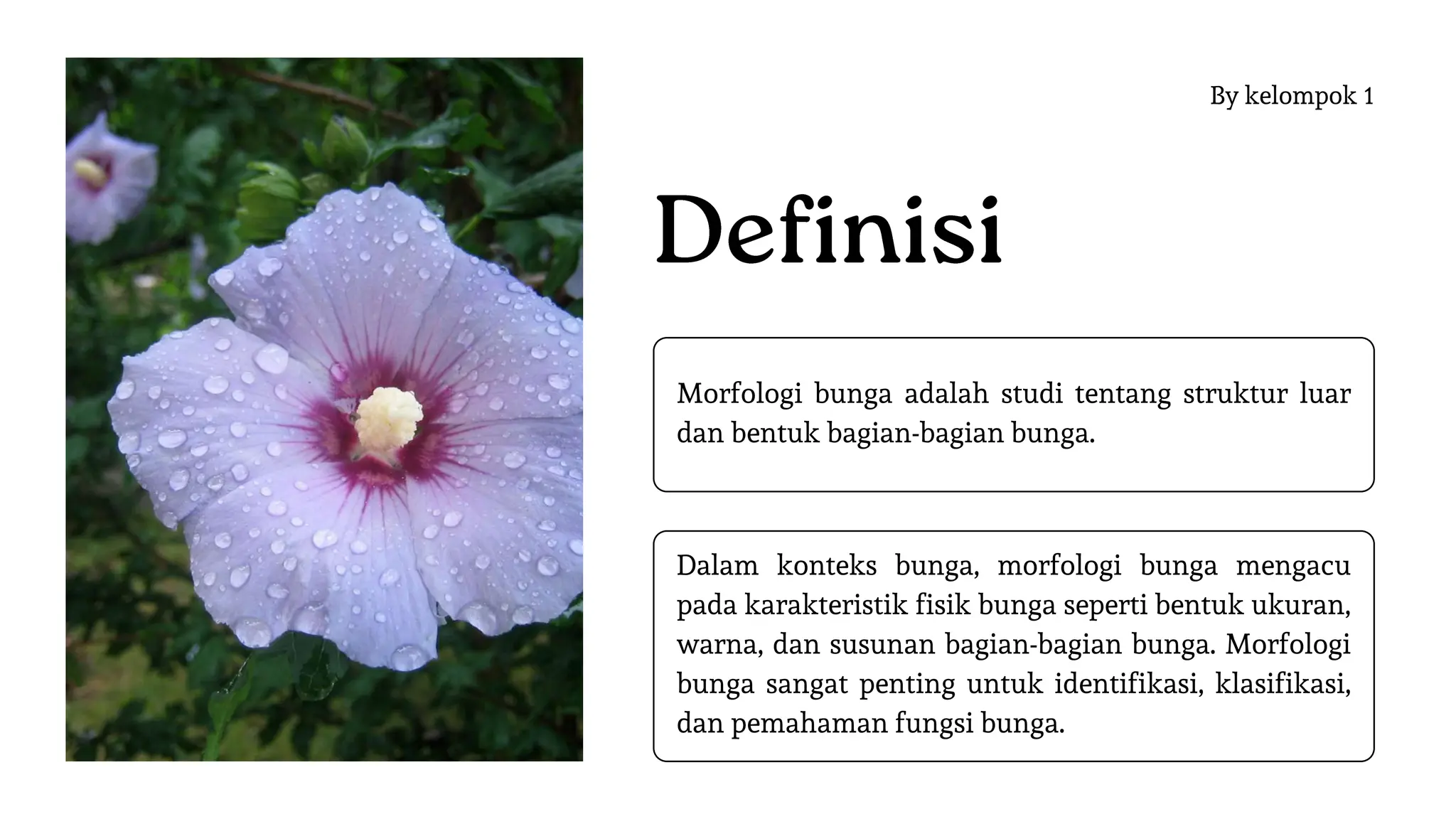 Morfologi bunga by klpk 1-1.pptx.tilugas botani farmasi. Definisi morfologi bunga | PPTX