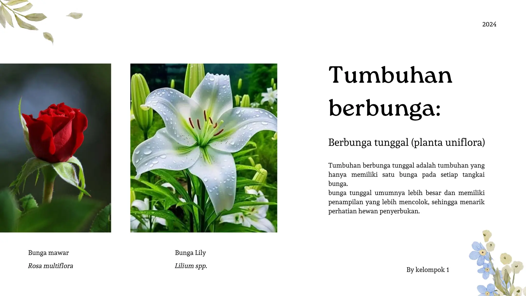 Morfologi bunga by klpk 1-1.pptx.tilugas botani farmasi. Definisi ...