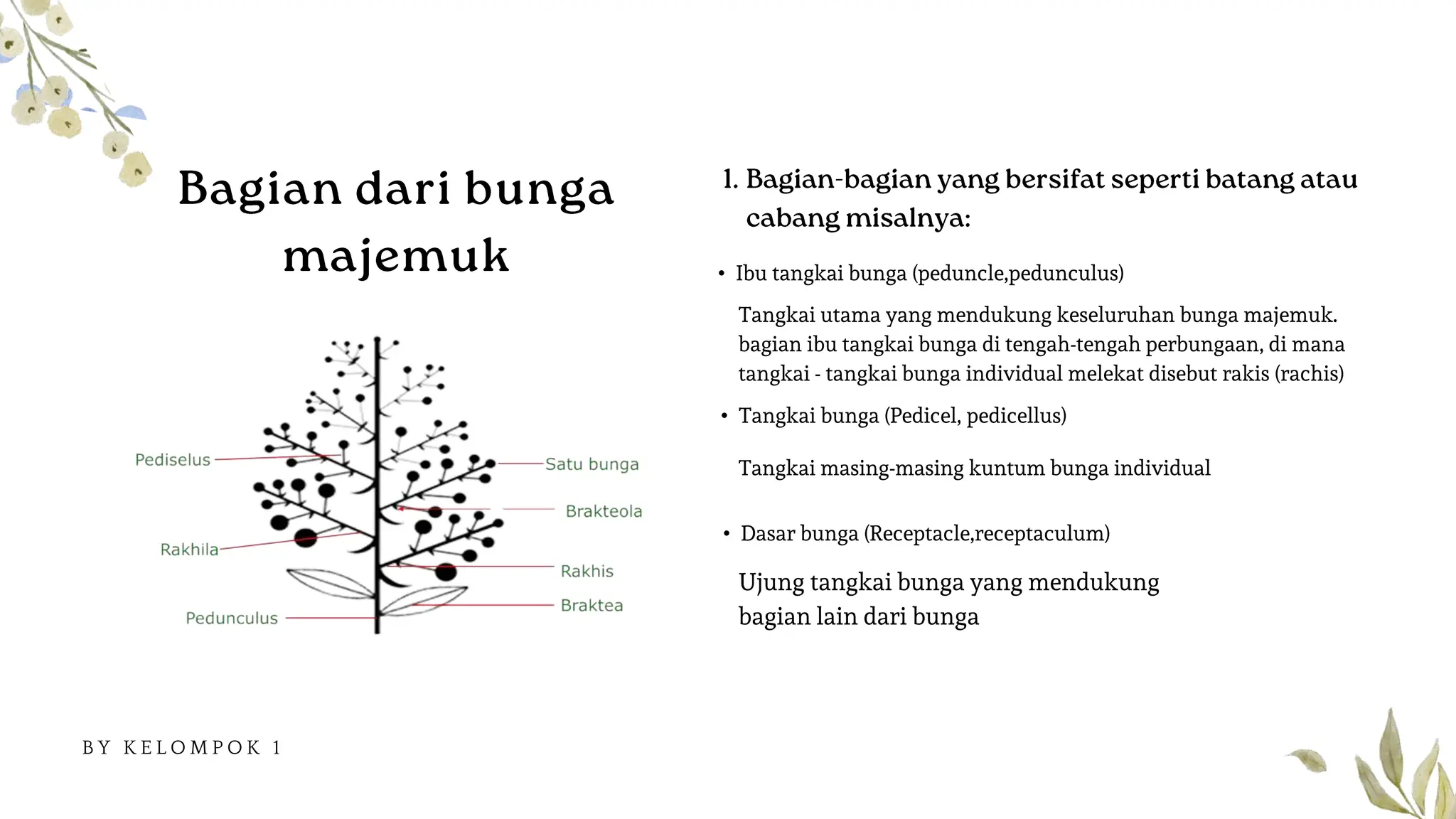Morfologi bunga by klpk 1-1.pptx.tilugas botani farmasi. Definisi ...
