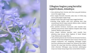 Morfologi bunga by klpk 1-1.pptx.tilugas botani farmasi. Definisi ...