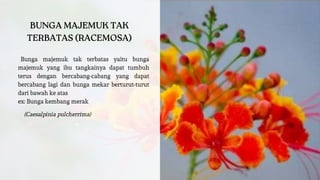 Morfologi bunga by klpk 1-1.pptx.tilugas botani farmasi. Definisi ...