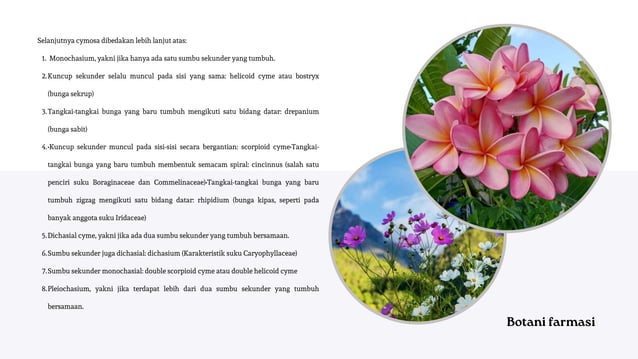 Morfologi bunga by klpk 1-1.pptx.tilugas botani farmasi. Definisi ...