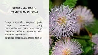 Morfologi bunga by klpk 1-1.pptx.tilugas botani farmasi. Definisi ...
