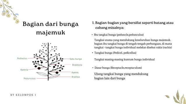 Morfologi bunga by klpk 1-1.pptx.tilugas botani farmasi. Definisi ...
