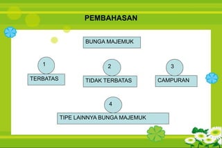 Morfologi BUNGA MAJEMUK(BY DELA NAVARIN).pptx