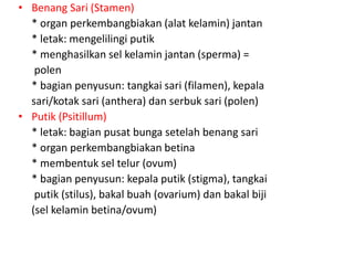 MORFOLOGI DAN ANATOMI BUNGA.pptx