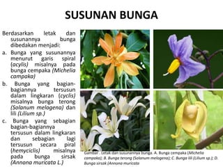 MORFOLOGI DAN ANATOMI BUNGA.pptx