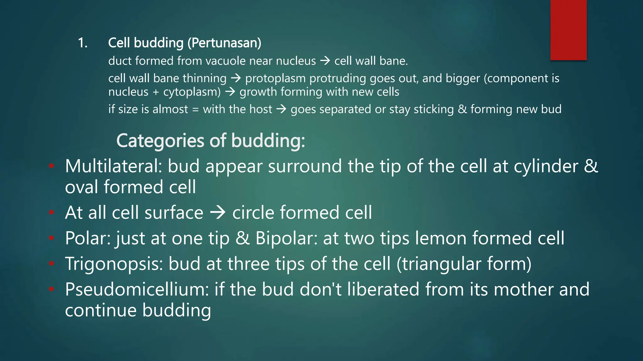 Morfologi dan Klasifikasi Fungi mikologi.pptx