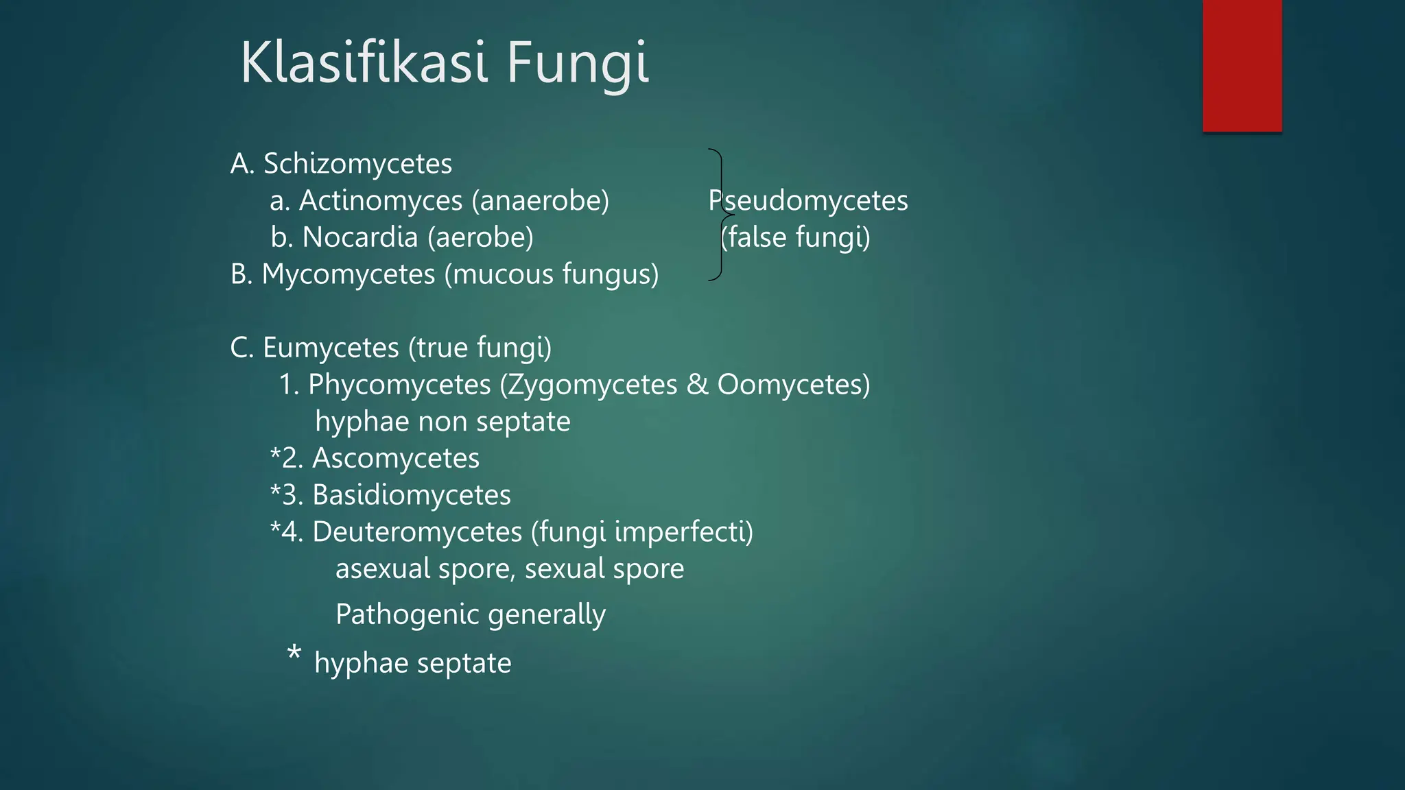 Morfologi Dan Klasifikasi Fungi Mikologi Pptx