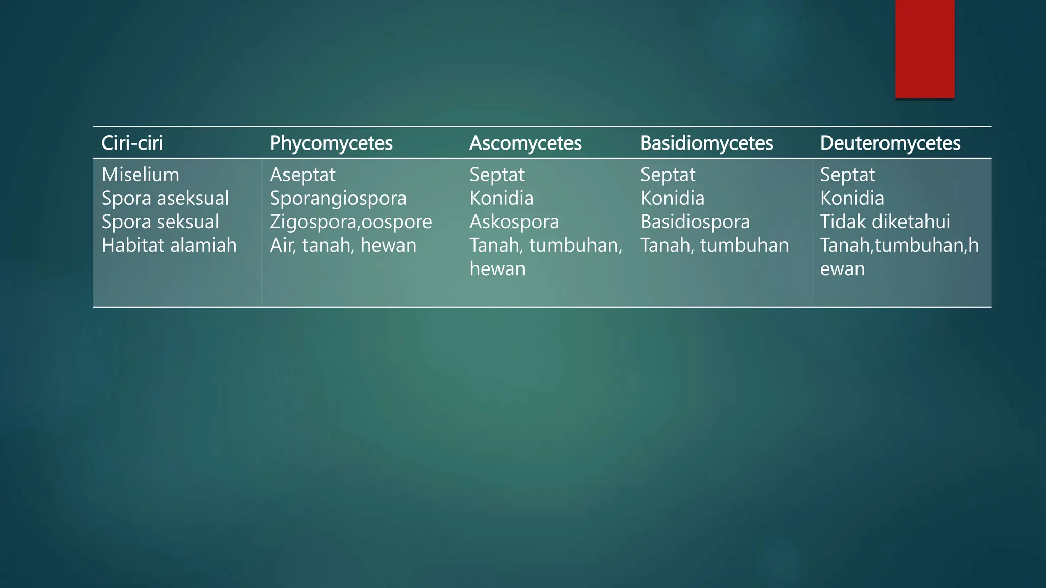 Morfologi dan Klasifikasi Fungi mikologi.pptx