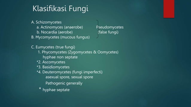 Morfologi dan Klasifikasi Fungi mikologi.pptx