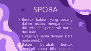 MORFOLOGI DAN TOKSONOMI BAKTERIOLOGI PPT | PPT