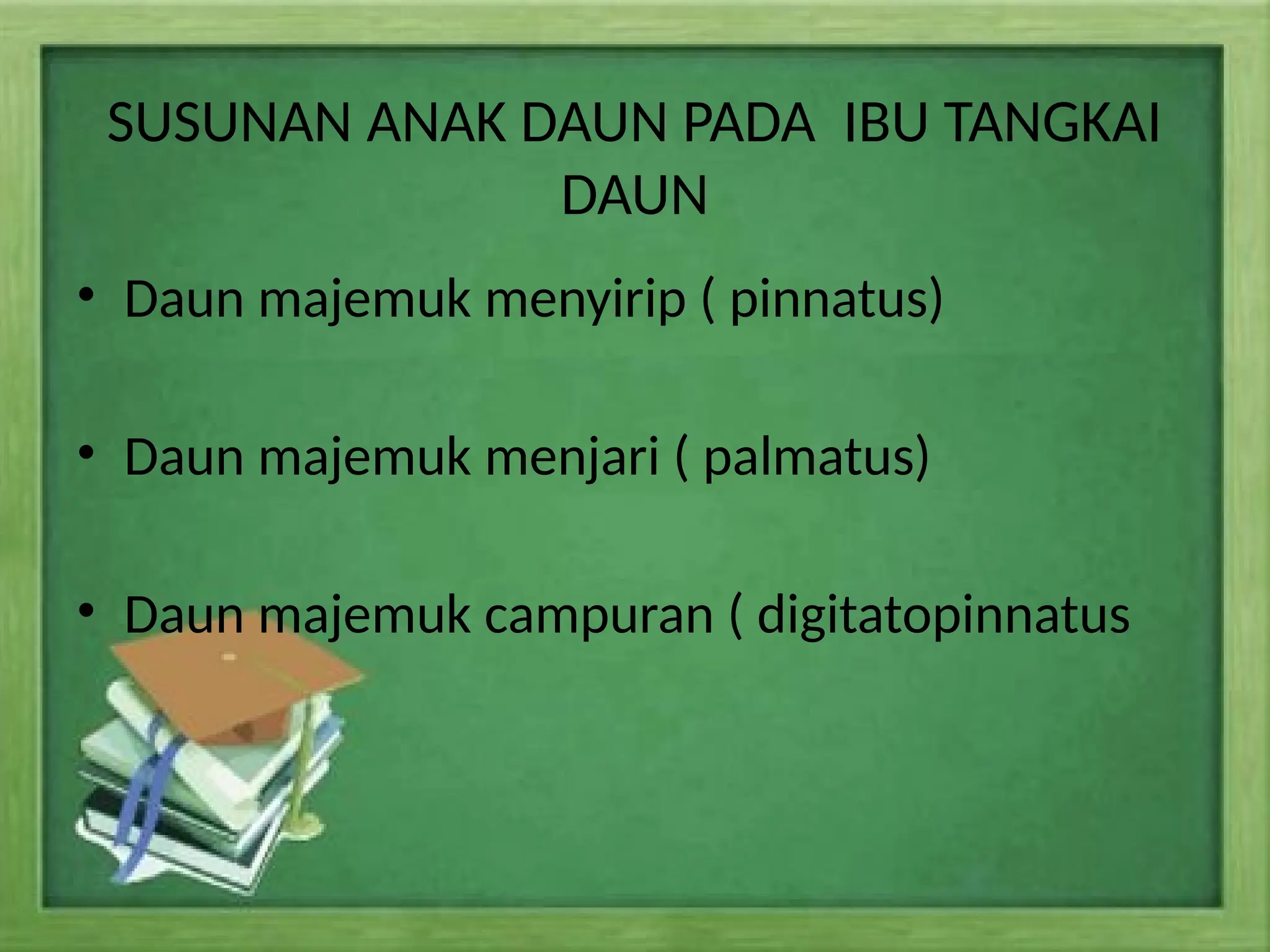 mata kuliah biologi tentang morfologi dau.pptx