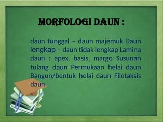 mata kuliah biologi tentang morfologi dau.pptx