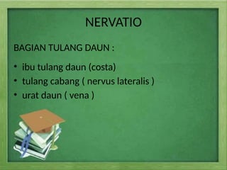 mata kuliah biologi tentang morfologi dau.pptx