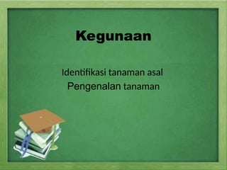 mata kuliah biologi tentang morfologi dau.pptx