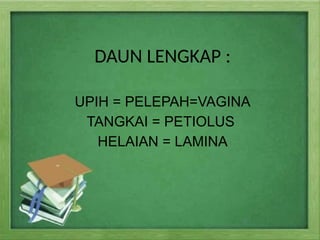 mata kuliah biologi tentang morfologi dau.pptx