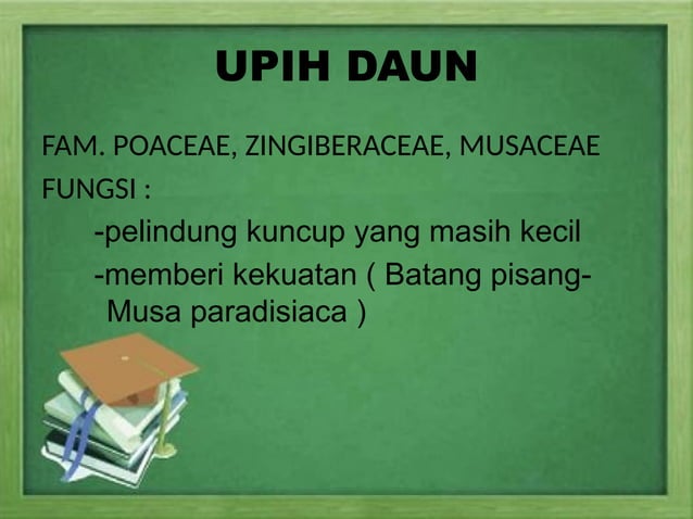 mata kuliah biologi tentang morfologi dau.pptx
