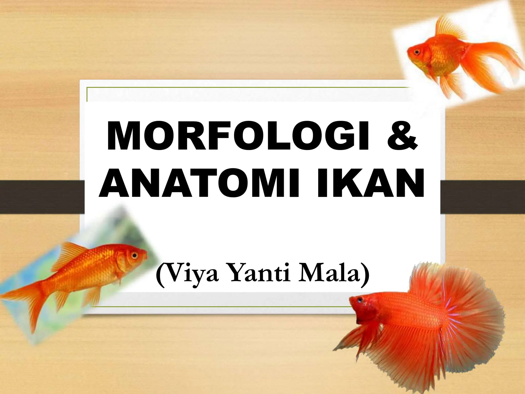 Morfologi ikan (Guru).pptx
