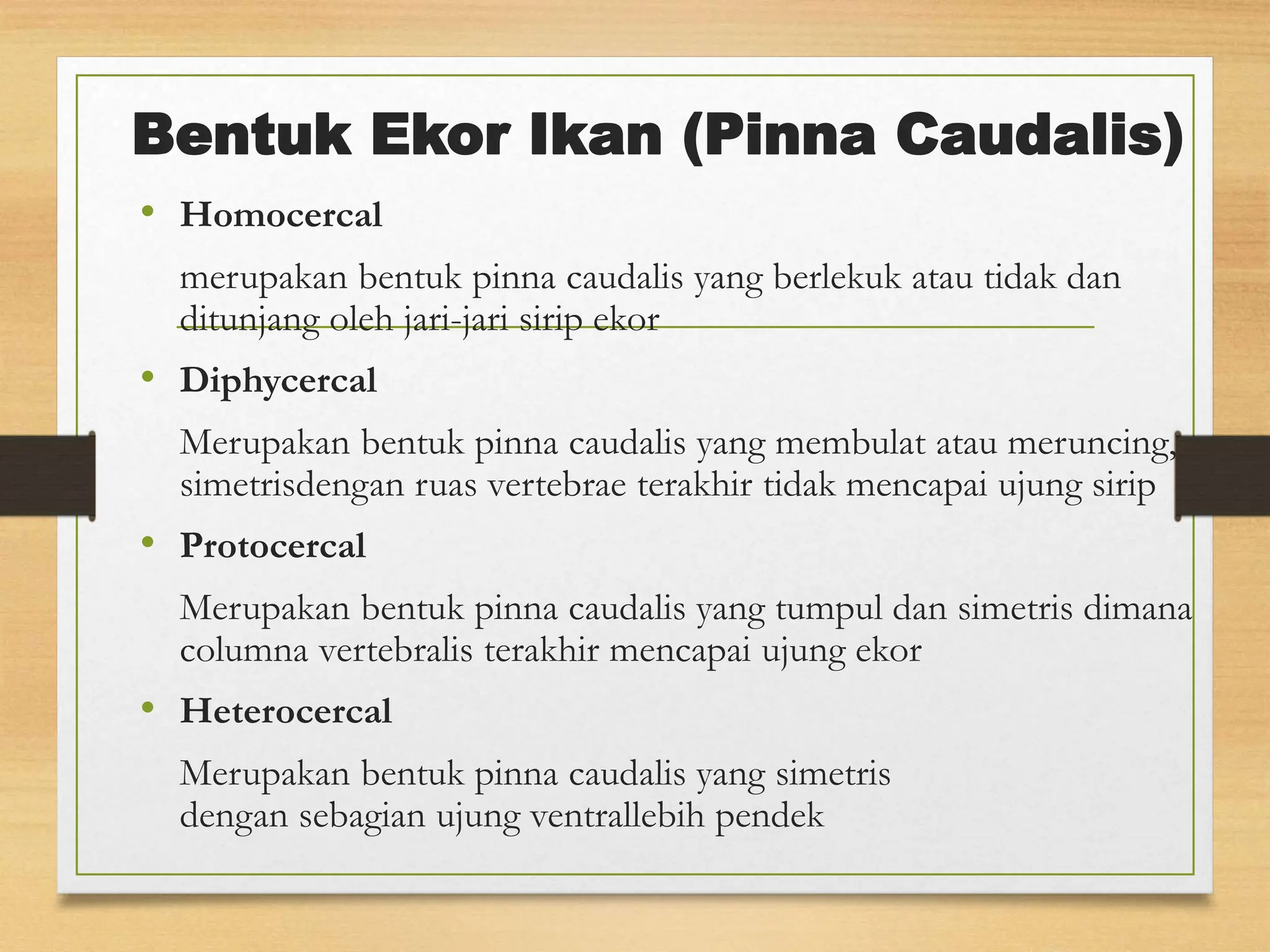 Morfologi ikan (Guru).pptx