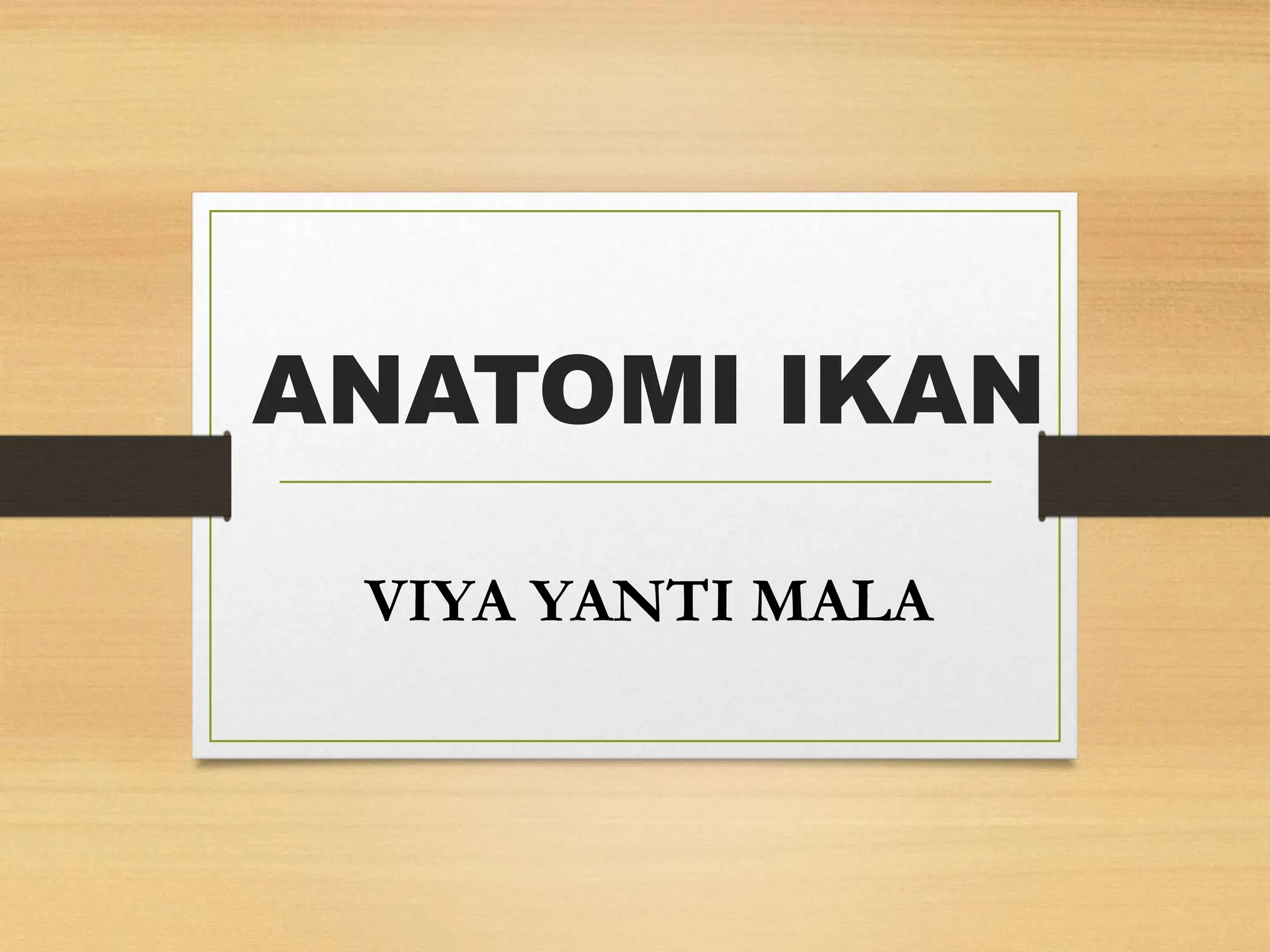 Morfologi ikan (Guru).pptx