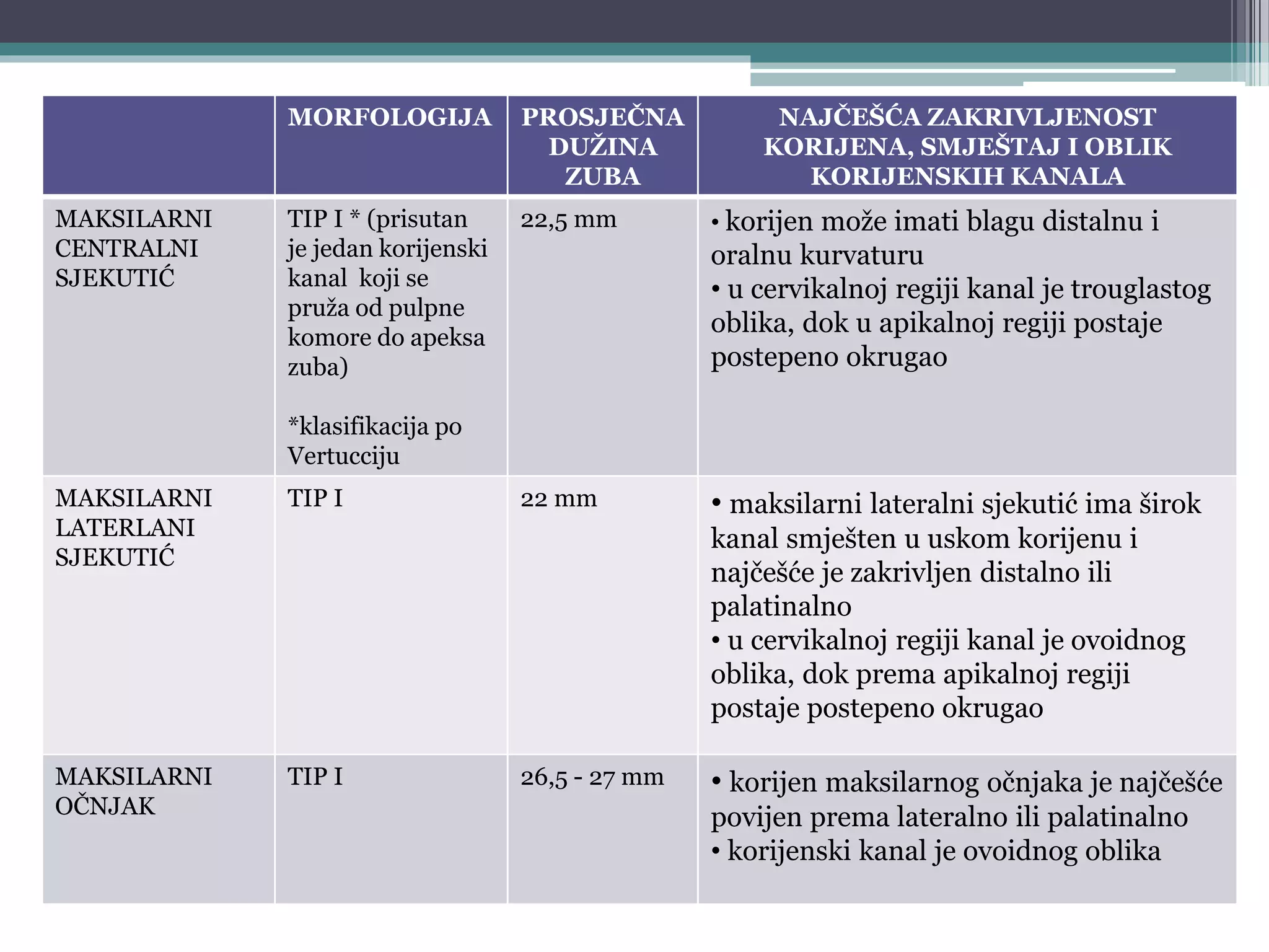 Morfologija kanala korijena zuba | PPTX
