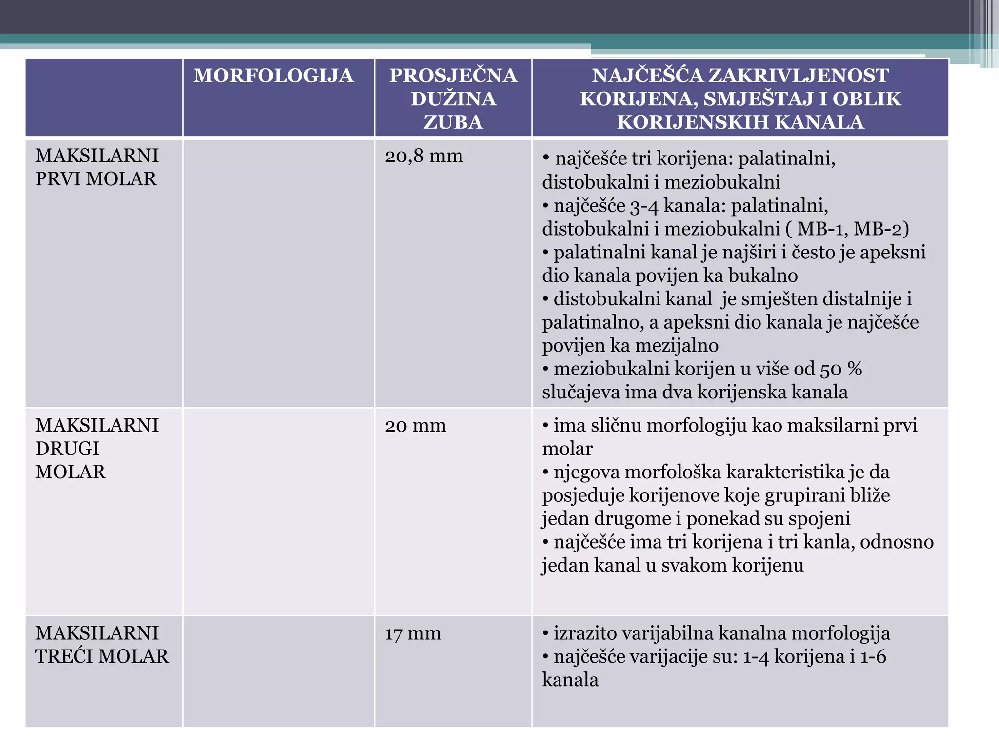 Morfologija kanala korijena zuba | PPTX