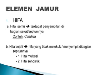 Morfologi jamur tugas | PPTX