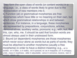 Morfologija uvod | PPTX