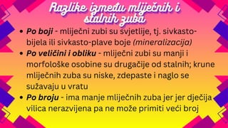 Morfologija zuba - Denticije | PDF