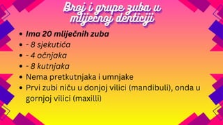 Morfologija zuba - Denticije | PDF