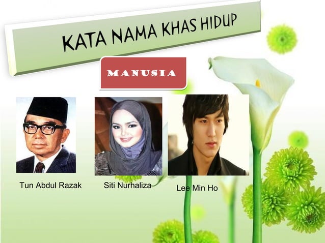 Morfologi p.hasnah | PPT