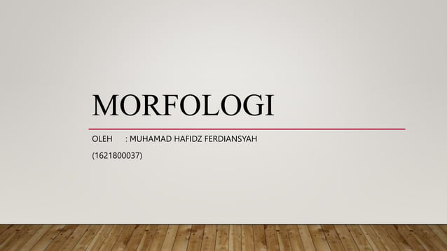 Morfologi ppt.pptx