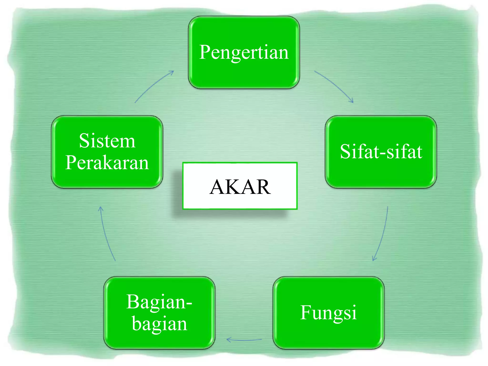 Morfologi akar | PPTX