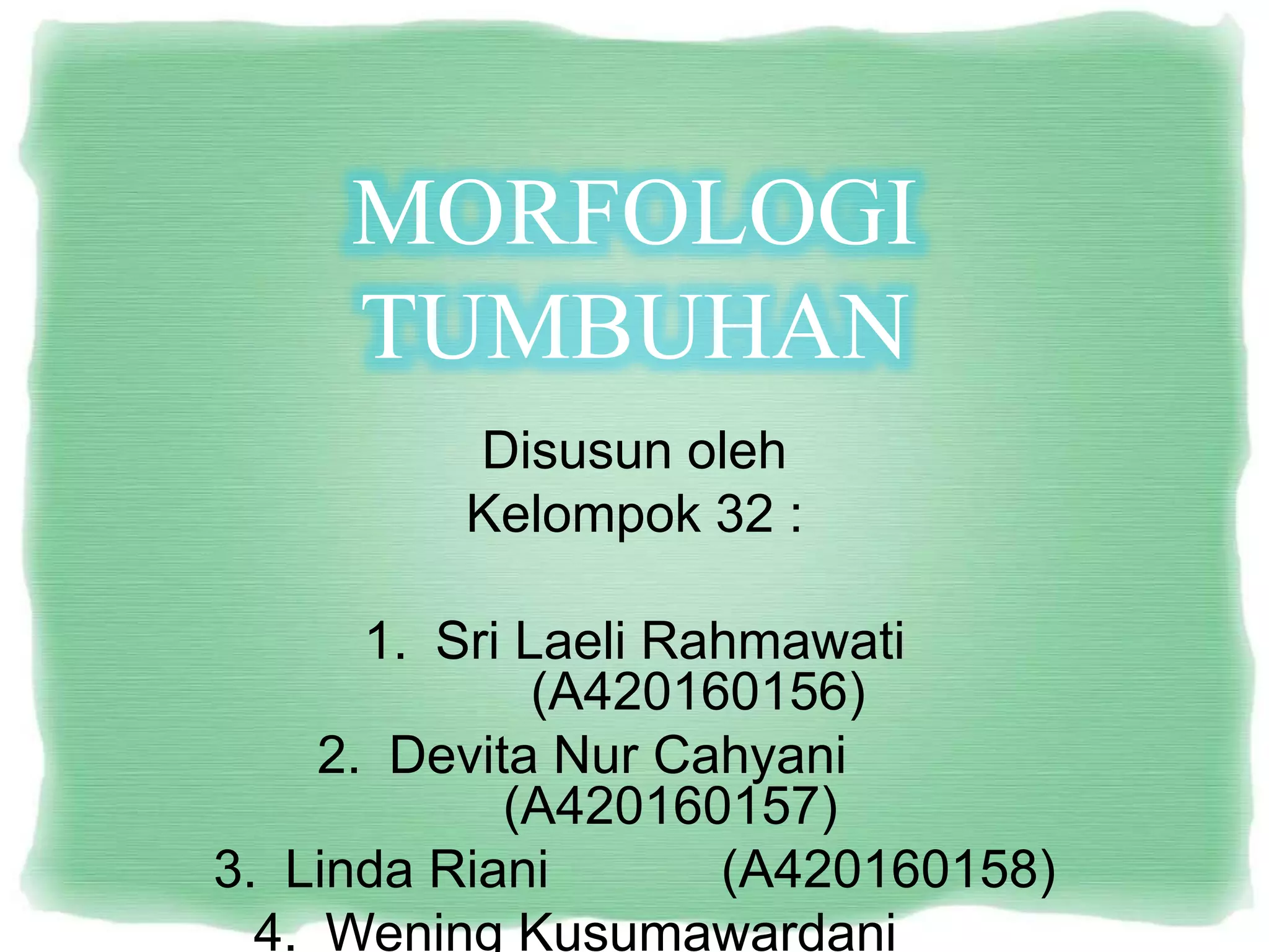 Morfologi akar | PPT